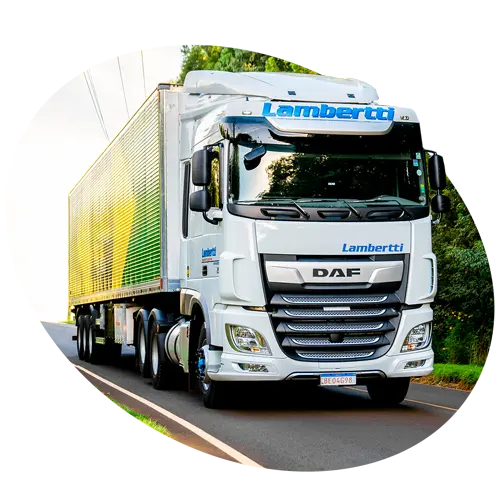 Início - LAMBERTTI